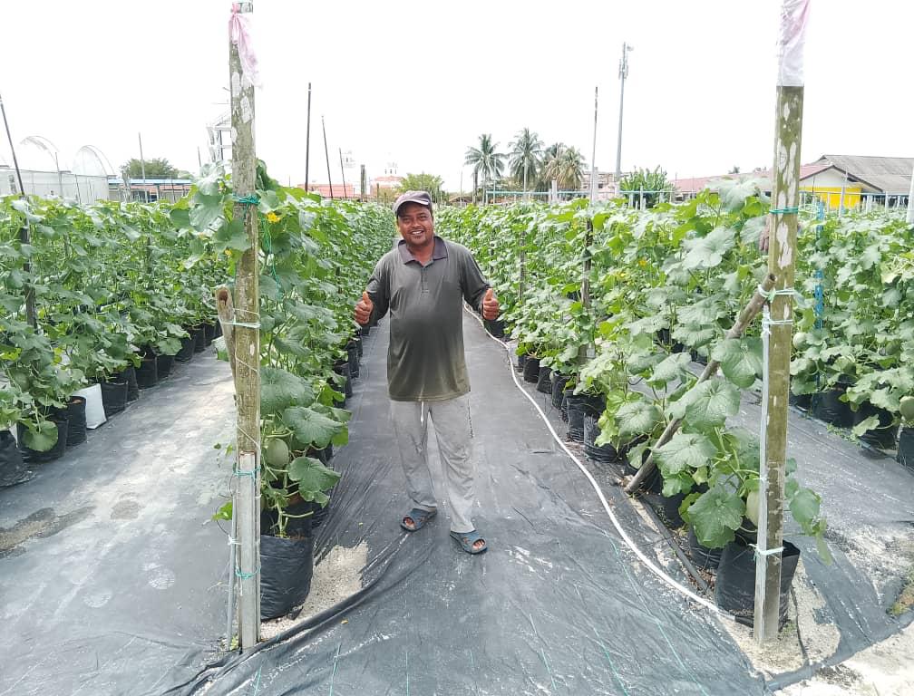 Lawatan Ke Ladang Melon KMK Agro Global Sdn Bhd untuk Sesi Praktikal ...